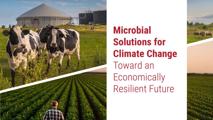 Microbial Solutions for Climate Change: Toward an Economically ... Microbial Solutions for Climate Change: Toward an Economically ...
