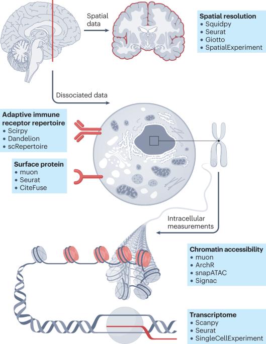 Best practices for single-cell analysis across modalities - Nature ... Best practices for single-cell analysis across modalities - Nature ...