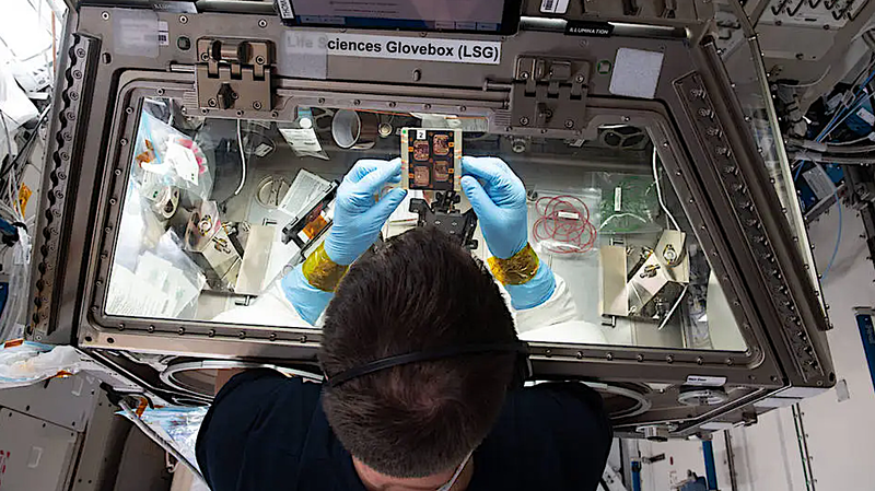 Astrobiology.com on LinkedIn: NASA Selects Two Consortia to Advance ... Astrobiology.com on LinkedIn: NASA Selects Two Consortia to Advance ...
