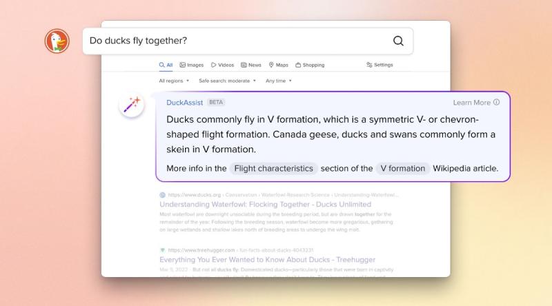 Castle Labs on LinkedIn: DuckDuckGo joins AI-boosted search engine race ... Castle Labs on LinkedIn: DuckDuckGo joins AI-boosted search engine race ...