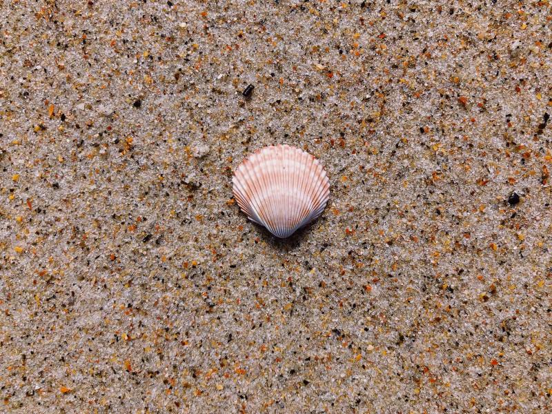 Deepanshu Rohilla on LinkedIn: Day 4: BASIC LINUX SHELL SCRIPTING Deepanshu Rohilla on LinkedIn: Day 4: BASIC LINUX SHELL SCRIPTING