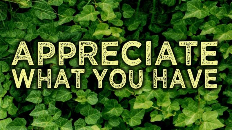 Roshan Jebin on LinkedIn: APPRECIATE WHAT YOU HAVE Roshan Jebin on LinkedIn: APPRECIATE WHAT YOU HAVE