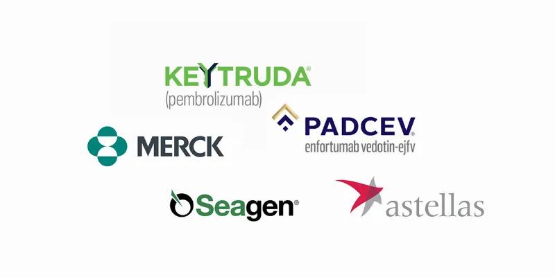 Hung Trinh on LinkedIn: FDA Grants Priority Review to Merck's Keytruda ... Hung Trinh on LinkedIn: FDA Grants Priority Review to Merck's Keytruda ...