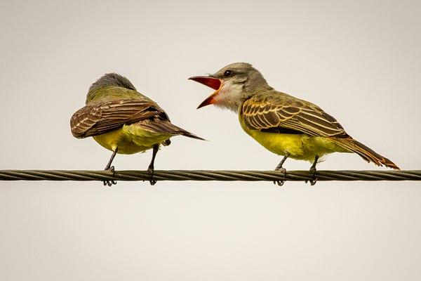 Navigating the Challenges of Asynchronous Event-Driven Schema Sharing ... Navigating the Challenges of Asynchronous Event-Driven Schema Sharing ...