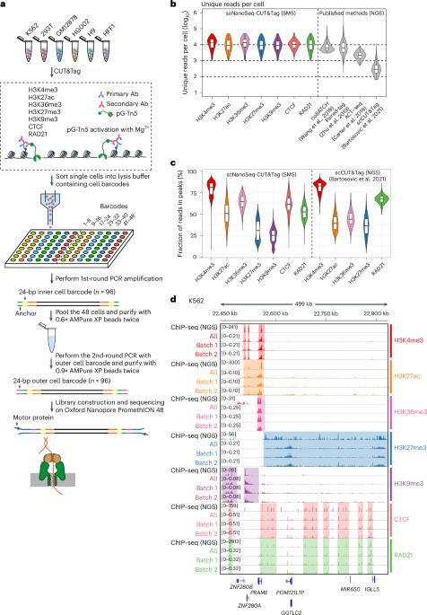 Ammar Sabir Cheema, PhD on LinkedIn: scNanoSeq-CUT&Tag: a single-cell ... Ammar Sabir Cheema, PhD on LinkedIn: scNanoSeq-CUT&Tag: a single-cell ...