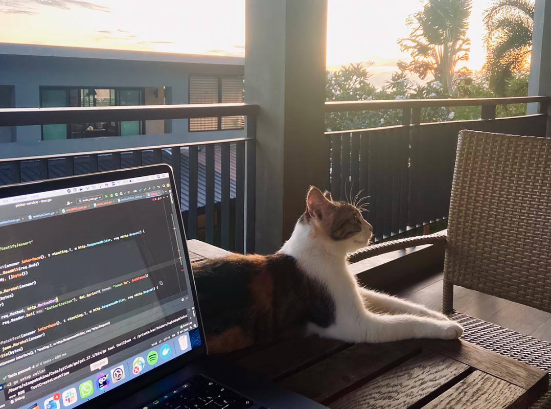 Alex Lokshin on LinkedIn: Golang Concurrency Patterns: For-Select-Done ... Alex Lokshin on LinkedIn: Golang Concurrency Patterns: For-Select-Done ...