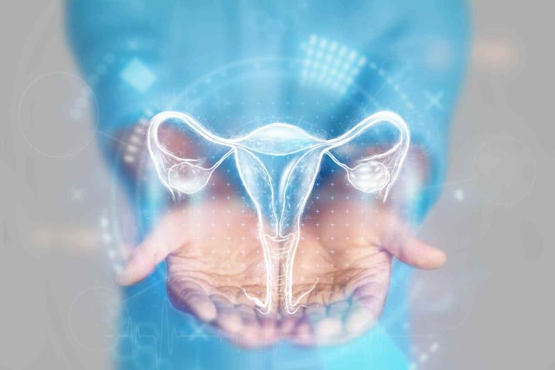 MicrobiomePost on LinkedIn: Freya Biosciences secures $10.4 million ... MicrobiomePost on LinkedIn: Freya Biosciences secures $10.4 million ...