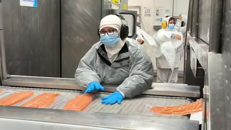 Eco-friendly refrigeration: on the aquaculture highway in Chile | UNIDO ... Eco-friendly refrigeration: on the aquaculture highway in Chile | UNIDO ...