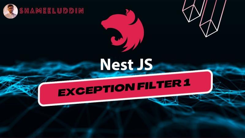 Shameel Uddin 🇵🇸 on LinkedIn: NestJS Tutorial #25 | Exception Filter Part 1 Shameel Uddin 🇵🇸 on LinkedIn: NestJS Tutorial #25 | Exception Filter Part 1
