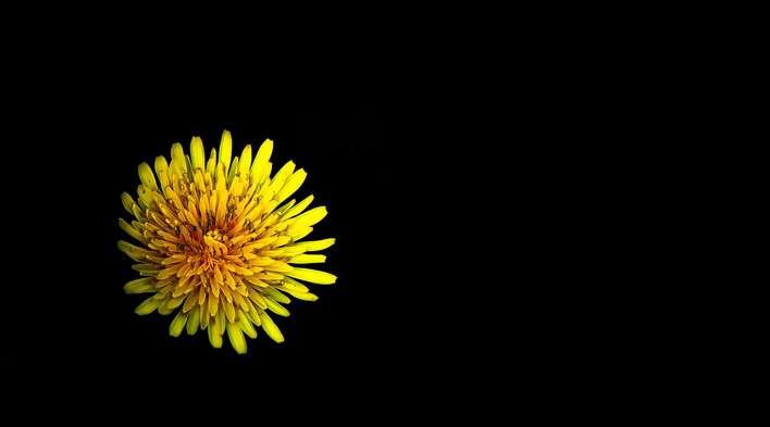 Dmitri Pavlutin on LinkedIn: Pure Functions in JavaScript: A Beginner's ... Dmitri Pavlutin on LinkedIn: Pure Functions in JavaScript: A Beginner's ...
