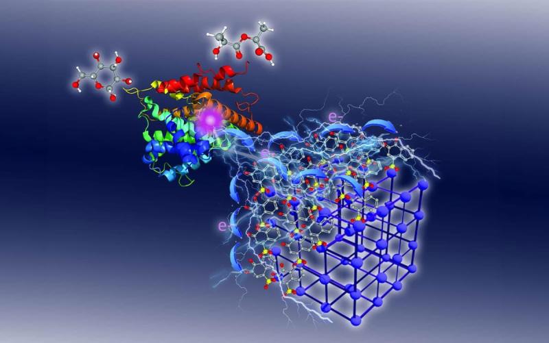 Improving the Performance of Biosensors: Developing New Materials for ... Improving the Performance of Biosensors: Developing New Materials for ...