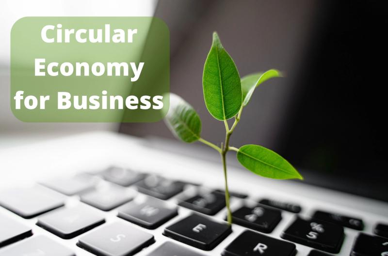 10 Simple Steps to Implement Circular Economy in Your Business ... 10 Simple Steps to Implement Circular Economy in Your Business ...