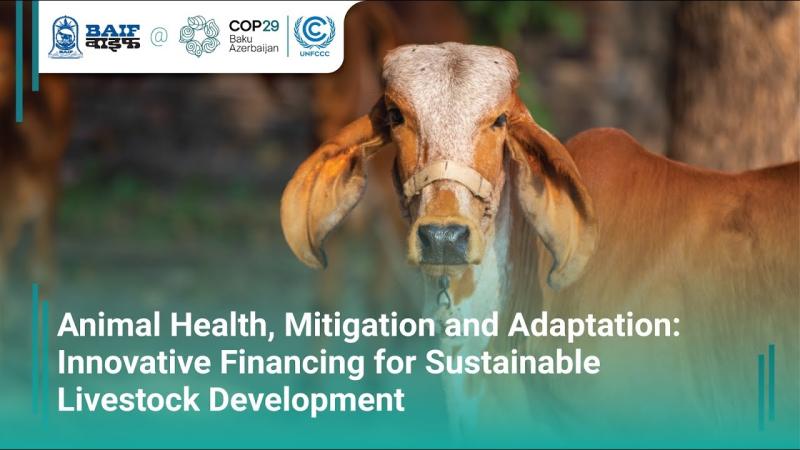BAIF Development Research Foundation on LinkedIn: BAIF| COP29 | UNFCCC ... BAIF Development Research Foundation on LinkedIn: BAIF| COP29 | UNFCCC ...