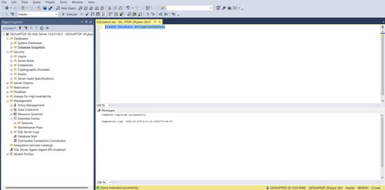 Implementing Column-Level Encryption in SQL Server: A Step-by-Step ... Implementing Column-Level Encryption in SQL Server: A Step-by-Step ...