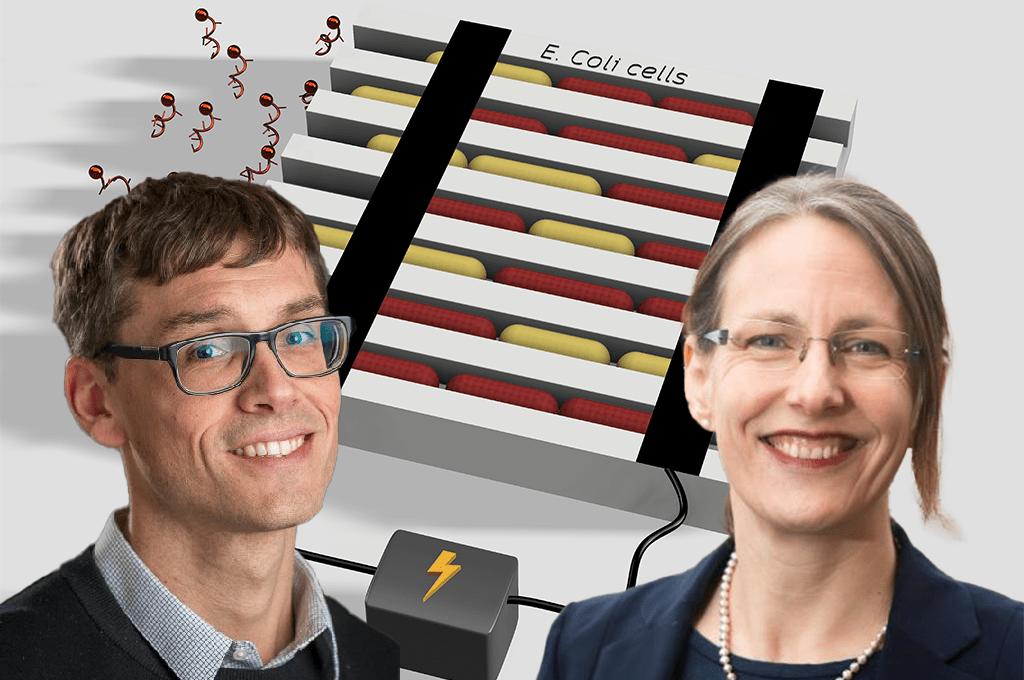 SciLifeLab on LinkedIn: New microfluidic platform developed by ... SciLifeLab on LinkedIn: New microfluidic platform developed by ...