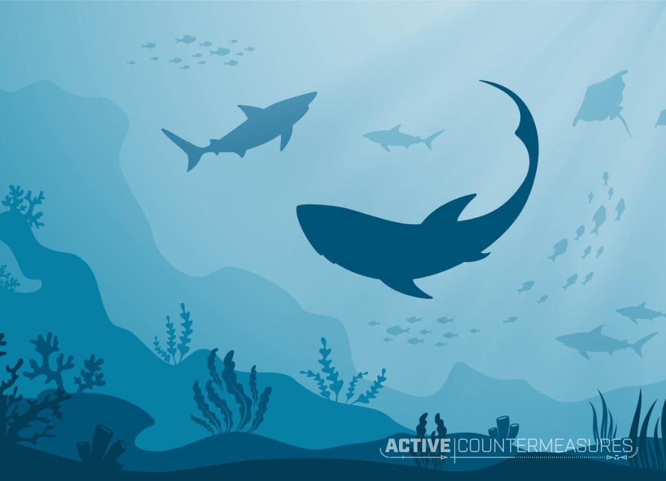Ioannis Zontos on LinkedIn: TShark Display Filter Examples - Active ... Ioannis Zontos on LinkedIn: TShark Display Filter Examples - Active ...