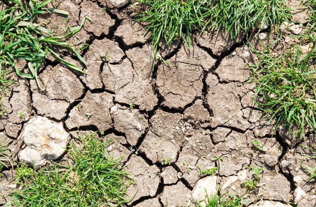 Obinna Ubani on LinkedIn: Effects of Soil Structure, Water Content, and ... Obinna Ubani on LinkedIn: Effects of Soil Structure, Water Content, and ...