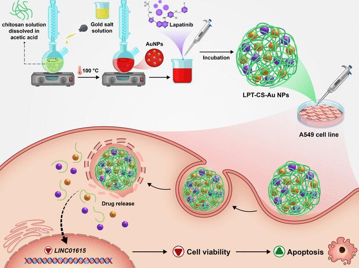 Hadi Rezaei on LinkedIn: Precision Nanomedicine: Lapatinib-Loaded ... Hadi Rezaei on LinkedIn: Precision Nanomedicine: Lapatinib-Loaded ...
