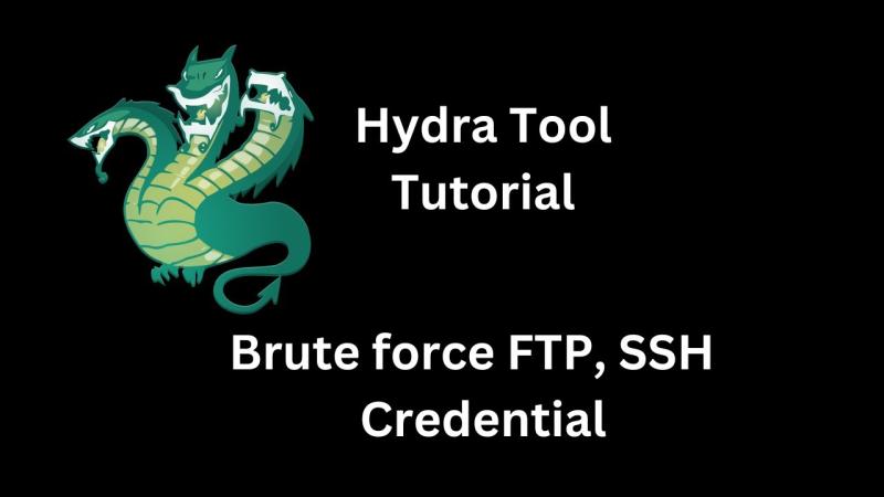 Zishan Khan on LinkedIn: Hydra Tool Tutorial Zishan Khan on LinkedIn: Hydra Tool Tutorial