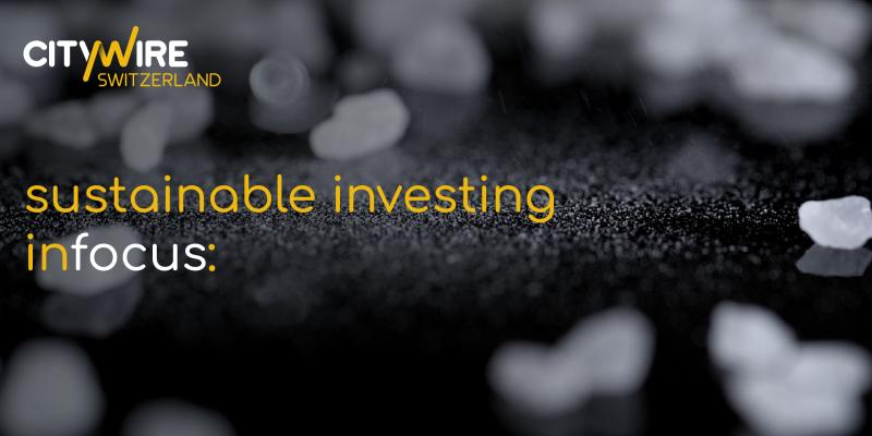 Fergus Horsfall on LinkedIn: Sustainable investing In Focus Fergus Horsfall on LinkedIn: Sustainable investing In Focus
