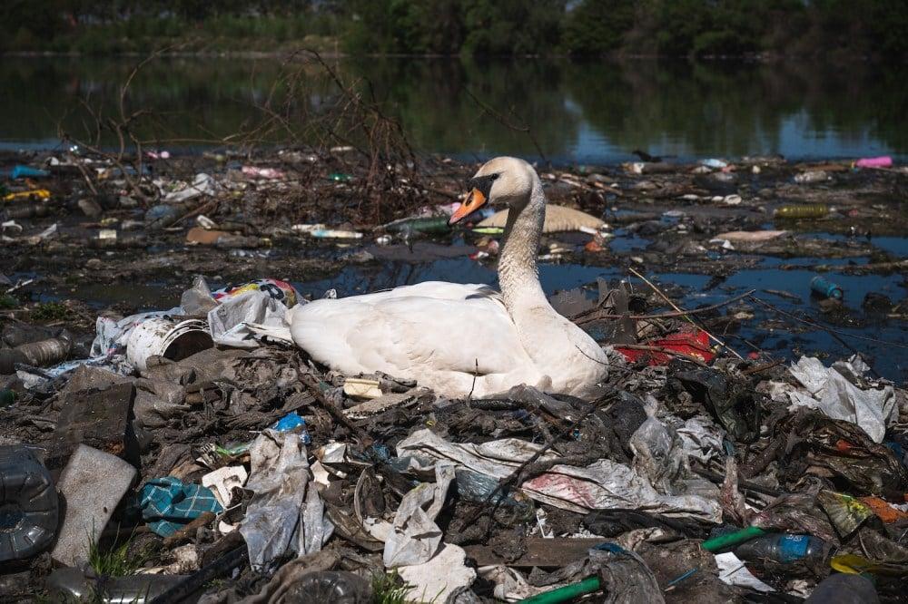 Clare S. on LinkedIn: No, Recycling Won’t Solve Our Plastic Problem Clare S. on LinkedIn: No, Recycling Won’t Solve Our Plastic Problem