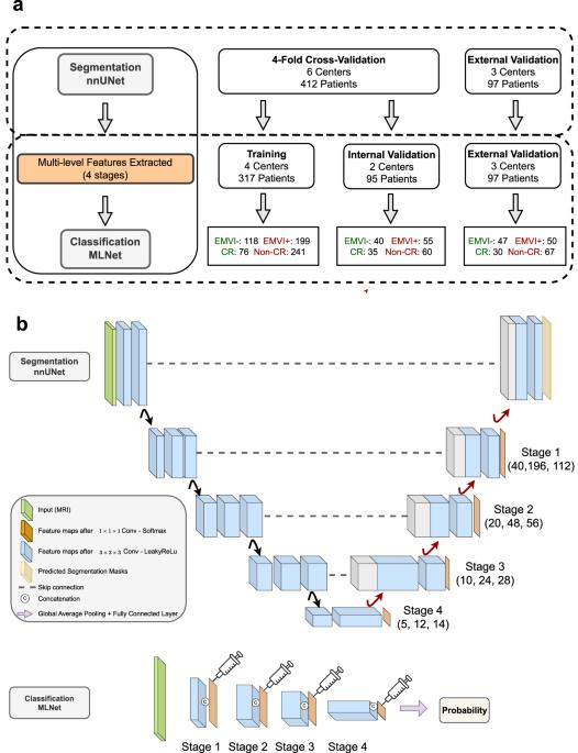 Lishan Cai on LinkedIn: An automated deep learning pipeline for EMVI ... Lishan Cai on LinkedIn: An automated deep learning pipeline for EMVI ...