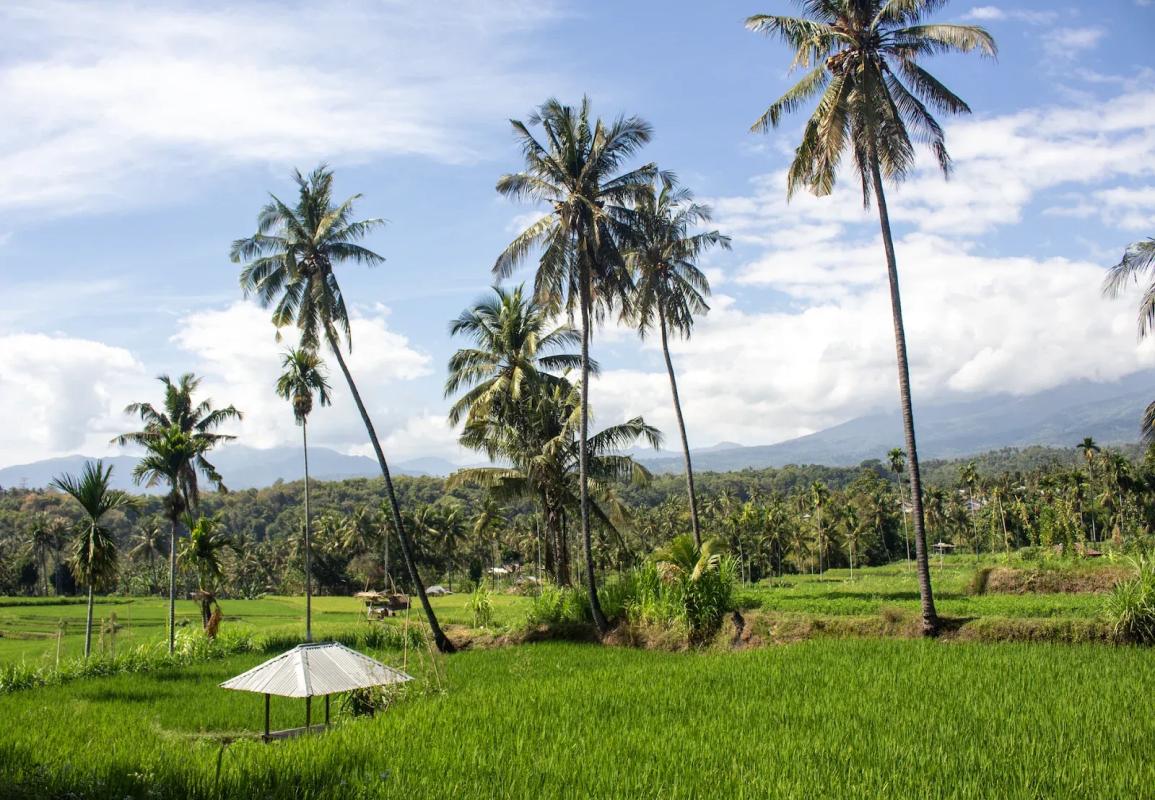 Freaking Nomads on LinkedIn: The Ultimate Guide to Lombok for Digital ... Freaking Nomads on LinkedIn: The Ultimate Guide to Lombok for Digital ...