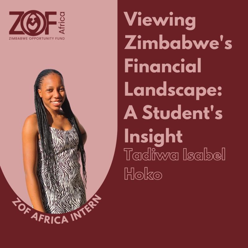 Viewing Zimbabwe's Financial Landscape: A Student’s Insight — ZOF ... Viewing Zimbabwe's Financial Landscape: A Student’s Insight — ZOF ...