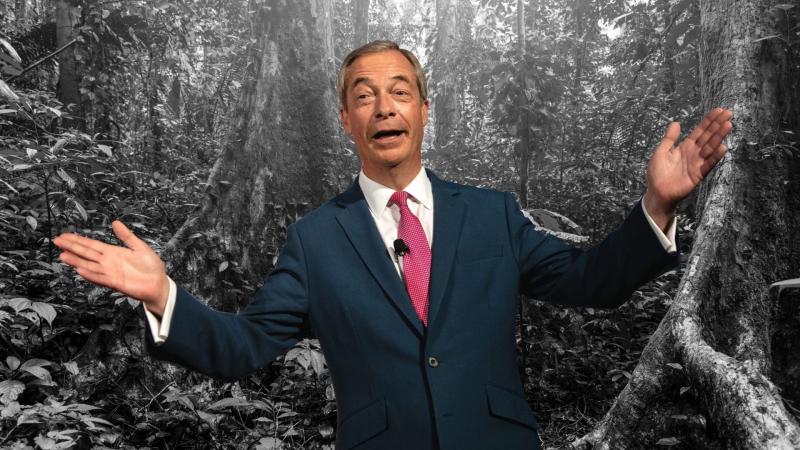 Stephen Arnell on LinkedIn: Nigel Farage, the biggest snake in the jungle Stephen Arnell on LinkedIn: Nigel Farage, the biggest snake in the jungle