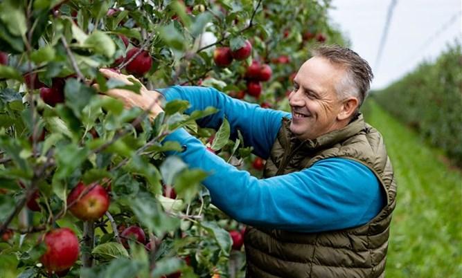 Ahold Delhaize on LinkedIn: Ahold Delhaize European brands launch ... Ahold Delhaize on LinkedIn: Ahold Delhaize European brands launch ...