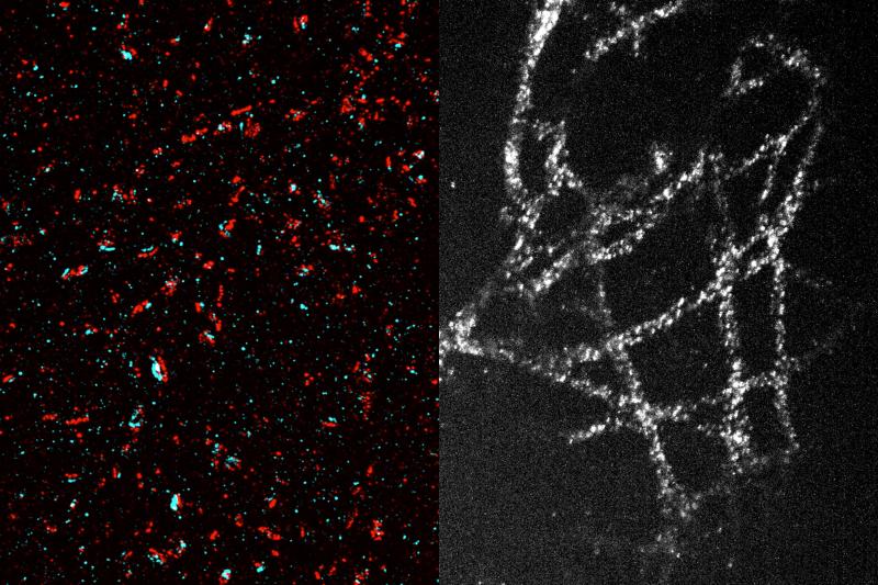 Sunalei on LinkedIn: A new method makes high-resolution imaging more ... Sunalei on LinkedIn: A new method makes high-resolution imaging more ...