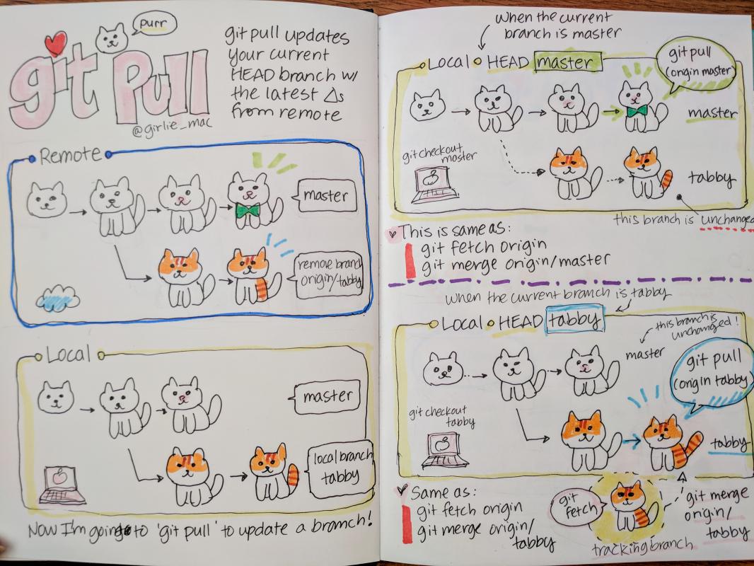 Leonel Afonso Estanqueiro on LinkedIn: GIT PURR! Git Commands Explained ... Leonel Afonso Estanqueiro on LinkedIn: GIT PURR! Git Commands Explained ...