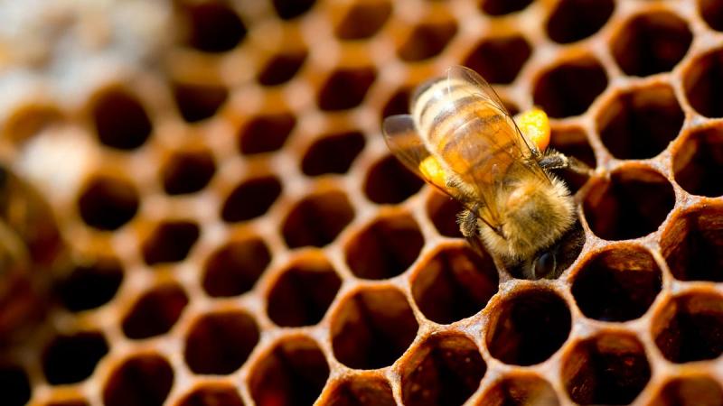 Simplifying Hexagonal Architecture: How to Avoid Excessive Boilerplate ... Simplifying Hexagonal Architecture: How to Avoid Excessive Boilerplate ...
