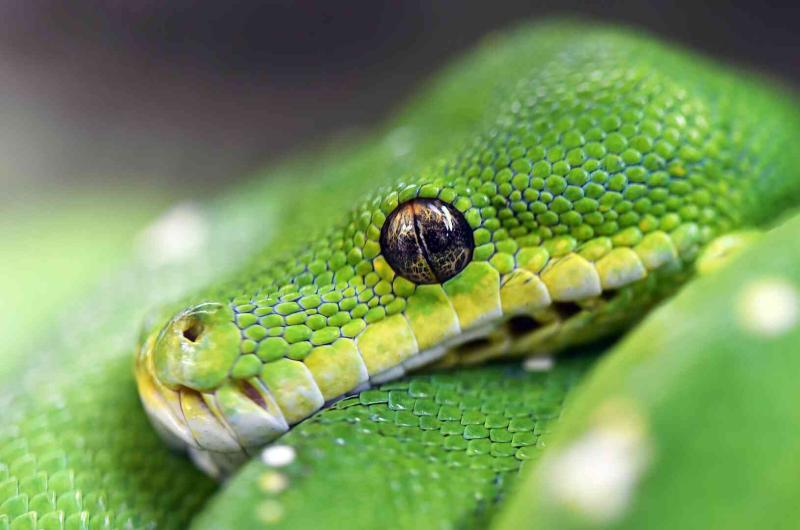 Alain AIROM on LinkedIn: Efficient DevSecOps workflows: Hands-on python ... Alain AIROM on LinkedIn: Efficient DevSecOps workflows: Hands-on python ...
