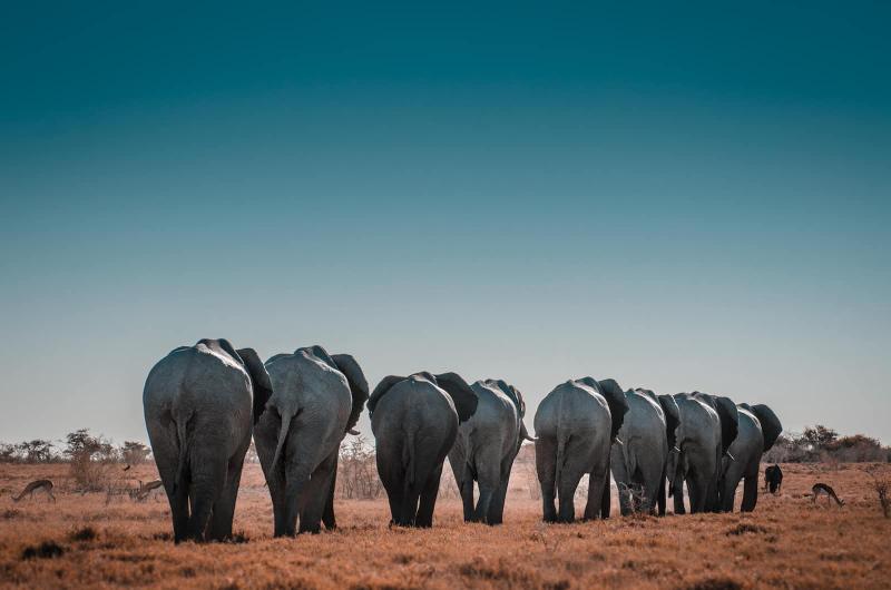 Mastering PostgreSQL Table Partitioning | Karthik .P.R Mastering PostgreSQL Table Partitioning | Karthik .P.R