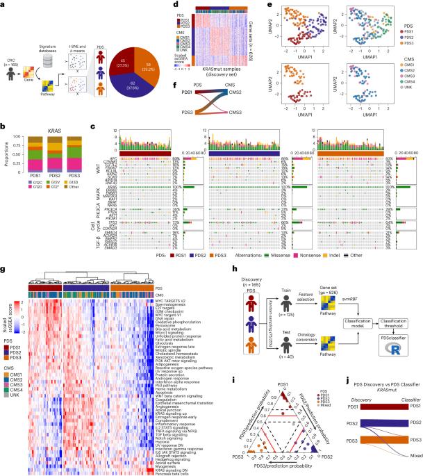 Pathway level subtyping identifies a slow-cycling biological phenotype ... Pathway level subtyping identifies a slow-cycling biological phenotype ...