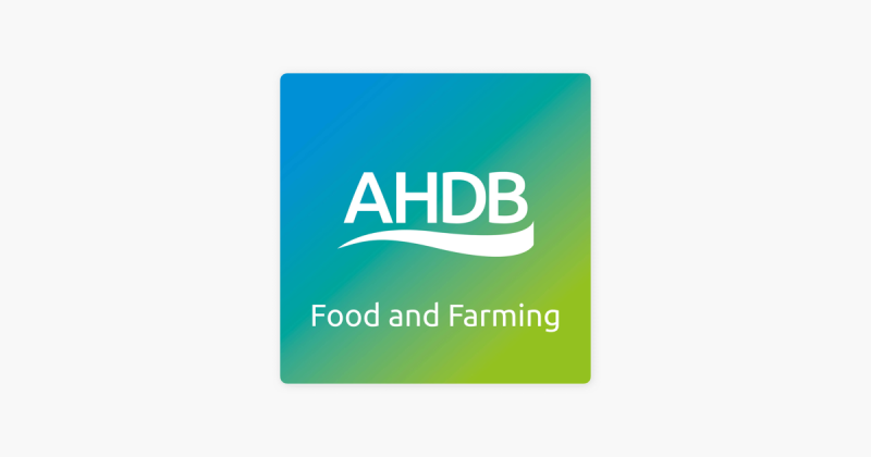 Sean Hughes on LinkedIn: AHDB Food & Farming: AHDB Beef & Lamb ... Sean Hughes on LinkedIn: AHDB Food & Farming: AHDB Beef & Lamb ...