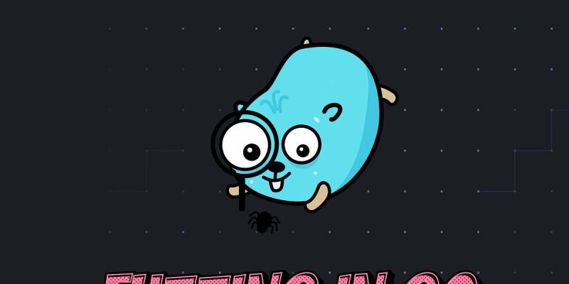 Davi Marcondes Moreira on LinkedIn: Fuzz Testing Go HTTP Services Davi Marcondes Moreira on LinkedIn: Fuzz Testing Go HTTP Services