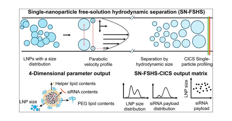 Pranjali Ghude, PhD on LinkedIn: Single-Particle Spectroscopic ... Pranjali Ghude, PhD on LinkedIn: Single-Particle Spectroscopic ...