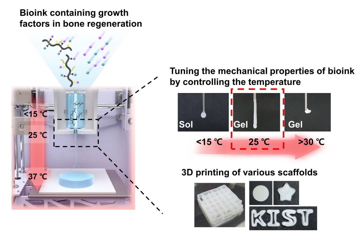 Michael Hwa-Han Wang on LinkedIn: Safe bioink for artificial organ printing Michael Hwa-Han Wang on LinkedIn: Safe bioink for artificial organ printing