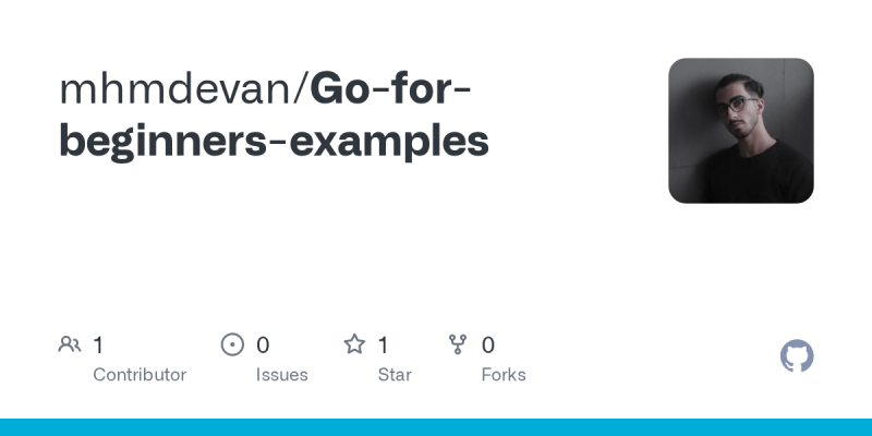 Mohammad Eslamnia on LinkedIn: GitHub - mhmdevan/Go-for-beginners-examples Mohammad Eslamnia on LinkedIn: GitHub - mhmdevan/Go-for-beginners-examples