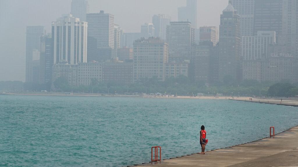 Lois Whitehead on LinkedIn: As wildfires burn, scientists race to ... Lois Whitehead on LinkedIn: As wildfires burn, scientists race to ...