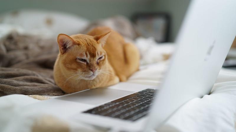 Sruthi K. on LinkedIn: 5 Hilarious Books on Data Analytics Everybody ... Sruthi K. on LinkedIn: 5 Hilarious Books on Data Analytics Everybody ...