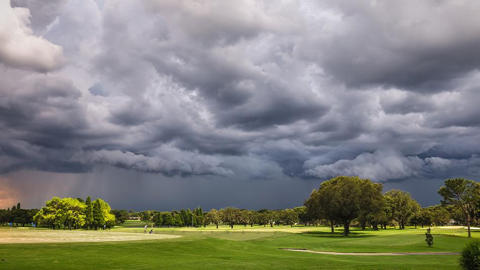 Tamie Garza on LinkedIn: Weathering the storm Tamie Garza on LinkedIn: Weathering the storm