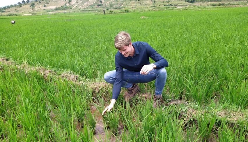 Rwanda, youth and rice farmers | Agriterra Rwanda, youth and rice farmers | Agriterra