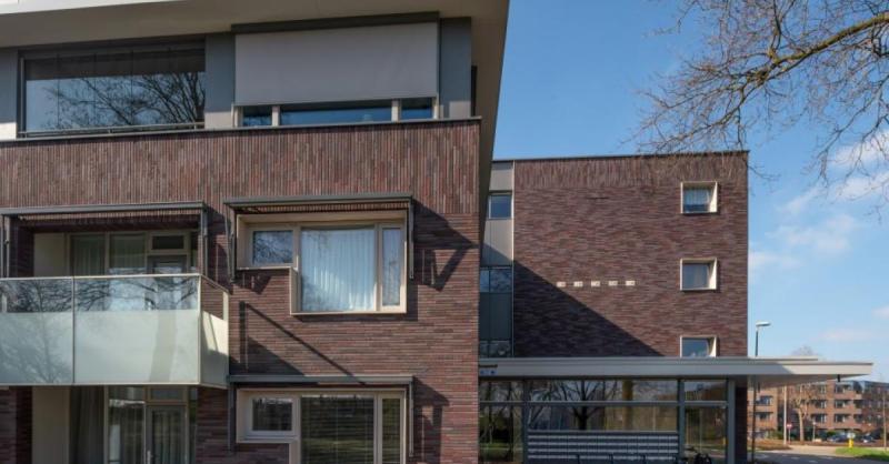 Maarten Georgius on LinkedIn: Optoppen geeft impuls aan de buurt Maarten Georgius on LinkedIn: Optoppen geeft impuls aan de buurt