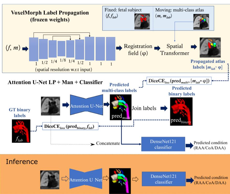 Machine learning for Biomedical Image Analysis on LinkedIn: Multi-task ... Machine learning for Biomedical Image Analysis on LinkedIn: Multi-task ...