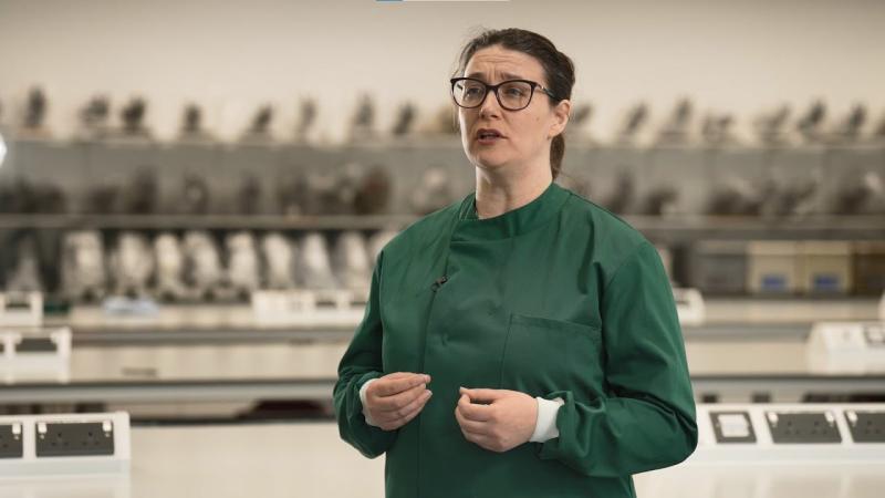 Donna MacCallum on LinkedIn: MSc Microbiology at Aberdeen Donna MacCallum on LinkedIn: MSc Microbiology at Aberdeen
