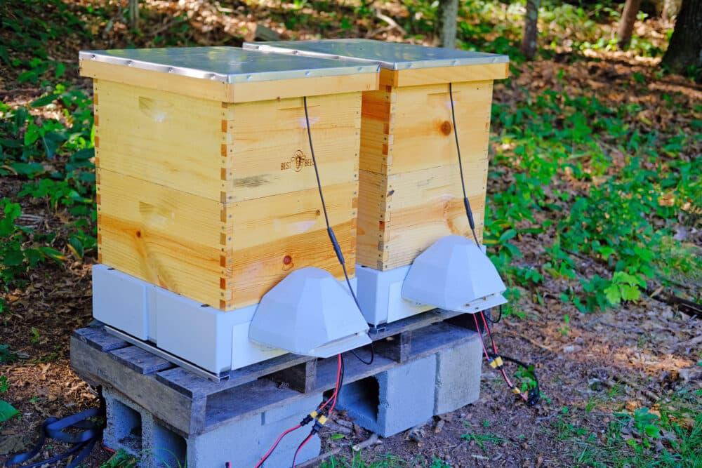 Rafael Aguilar on LinkedIn: Introducing Best Bees SmartHive Rafael Aguilar on LinkedIn: Introducing Best Bees SmartHive