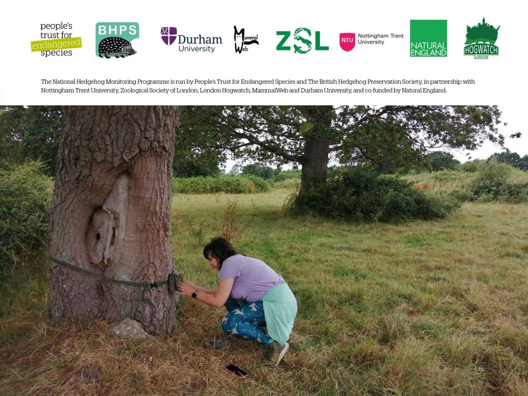 British Hedgehog Preservation Society on LinkedIn: The National ... British Hedgehog Preservation Society on LinkedIn: The National ...
